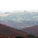 Oliver Nicholson – Medium