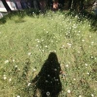 Hifza Nadeem – Medium