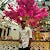 Koustav Mahata – Medium