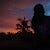 About – Manasvini Sridhar – Medium