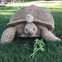 Matthew Jason – Medium