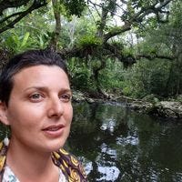 Fabiane Holleweger – Medium