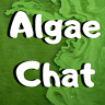 Algae Chat – Medium