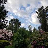 Kathy Morrison-Lantz – Medium