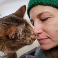 Meredith Wilson – Medium