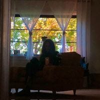 Lynne Pappas on Medium curated some lists