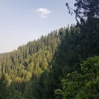 Amna Mazhar – Medium