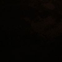 Ibrahim Tariq – Medium