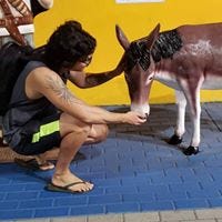 Natan Soares – Medium