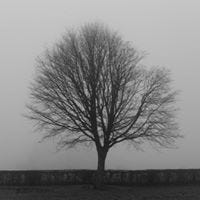 Barbara Welsh – Medium