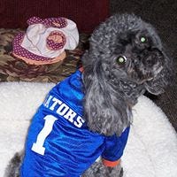 About – Wiley Gators – Medium