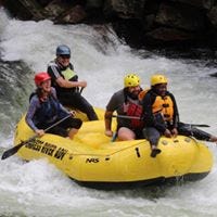 Cliff Counsell – Medium