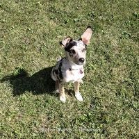 Bill Purnell – Medium