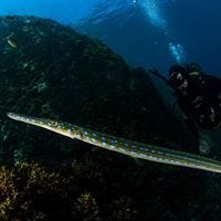 Lucas Moraes – Medium