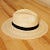 Matthew Fisch – Medium