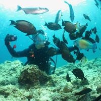 Frank Wang – Medium