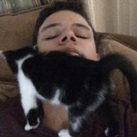 Brett McAdams – Medium