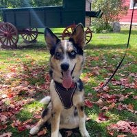 About – Tara Szott Wasik – Medium