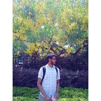 Sajitha Rasanga – Medium