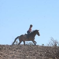 Amanda Lou Kavanagh – Medium