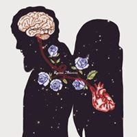 Amr M. Elsayed on Medium curated some lists