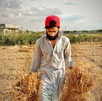 Musa Ali on Medium curated some lists