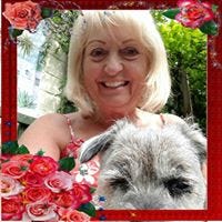 About – Pat Oliver – Medium