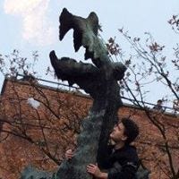 Gergely Nagy – Medium