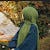 Amna Khan – Medium