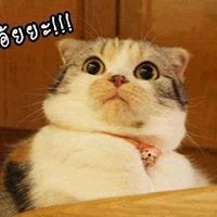 Wayne Carter – Medium