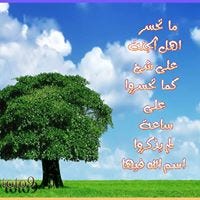 Khaled Hammami – Medium