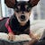 Goke – Medium
