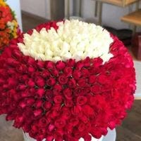 Noman Khan – Medium