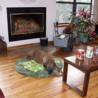 Harold Green – Medium