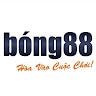BONG88 – Medium