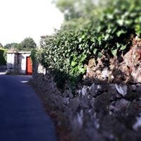 Verónica Durán – Medium