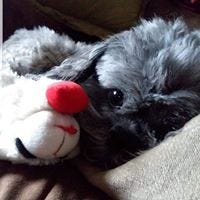 Sandra Snider Okamoto – Medium