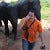 Roni Mulyana – Medium