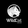 wildcat media – Medium