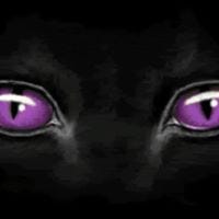 April Cannon – Medium