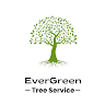 Evergreen tree service – Medium