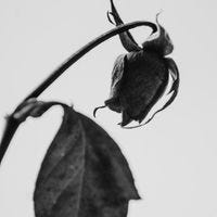 Avinash Kr Pandey – Medium