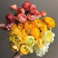 Jamie Crowson – Medium