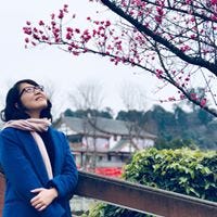 Irene Lin – Medium