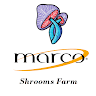 Marco Shroom Farm – Medium