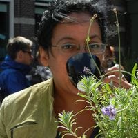 Liz Cross – Medium