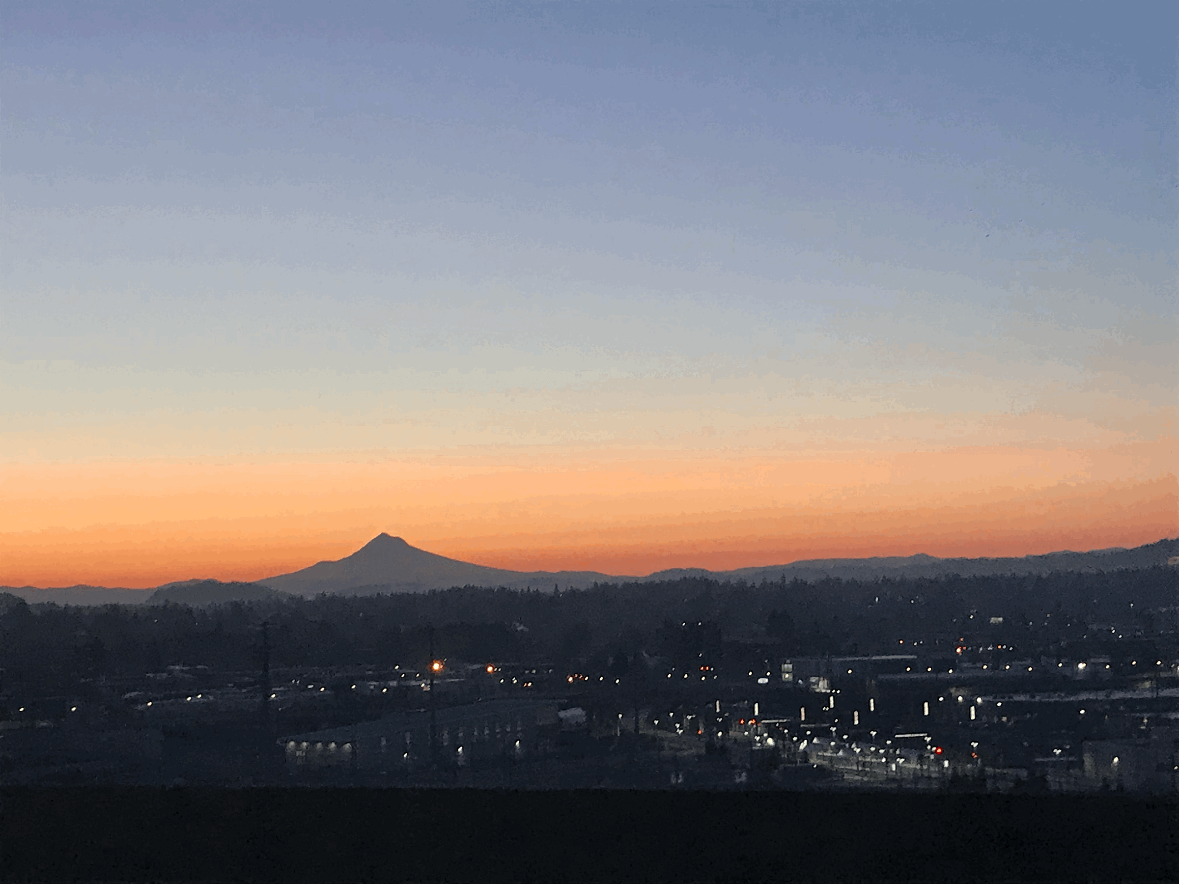 Hanin Najjar – Medium