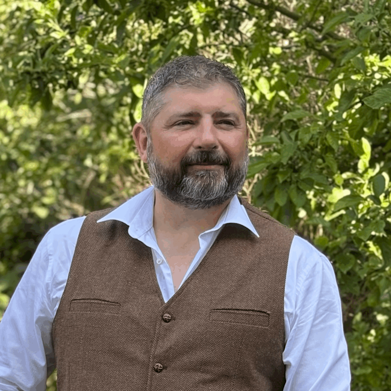 Steve Chamberlain – Medium