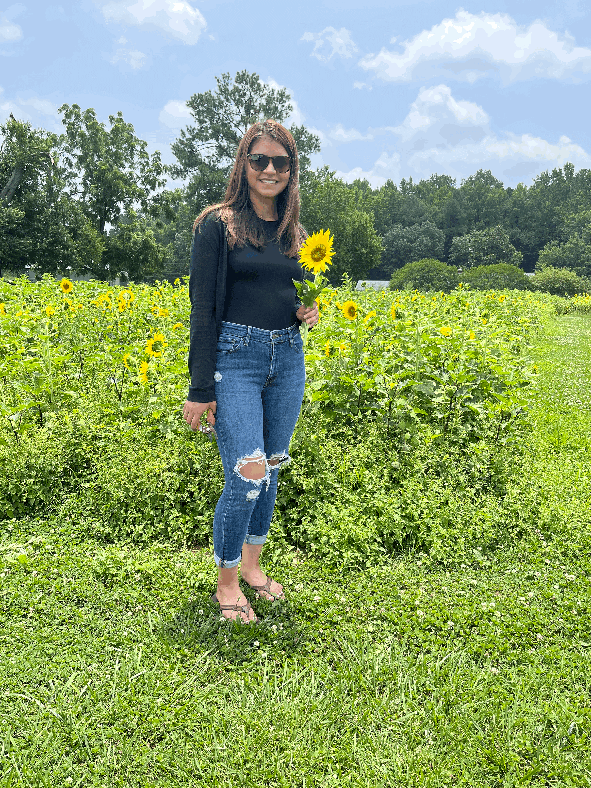 Stephanie Castillo – Medium