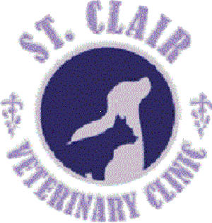 St. Clair Veterinary Clinic – Medium